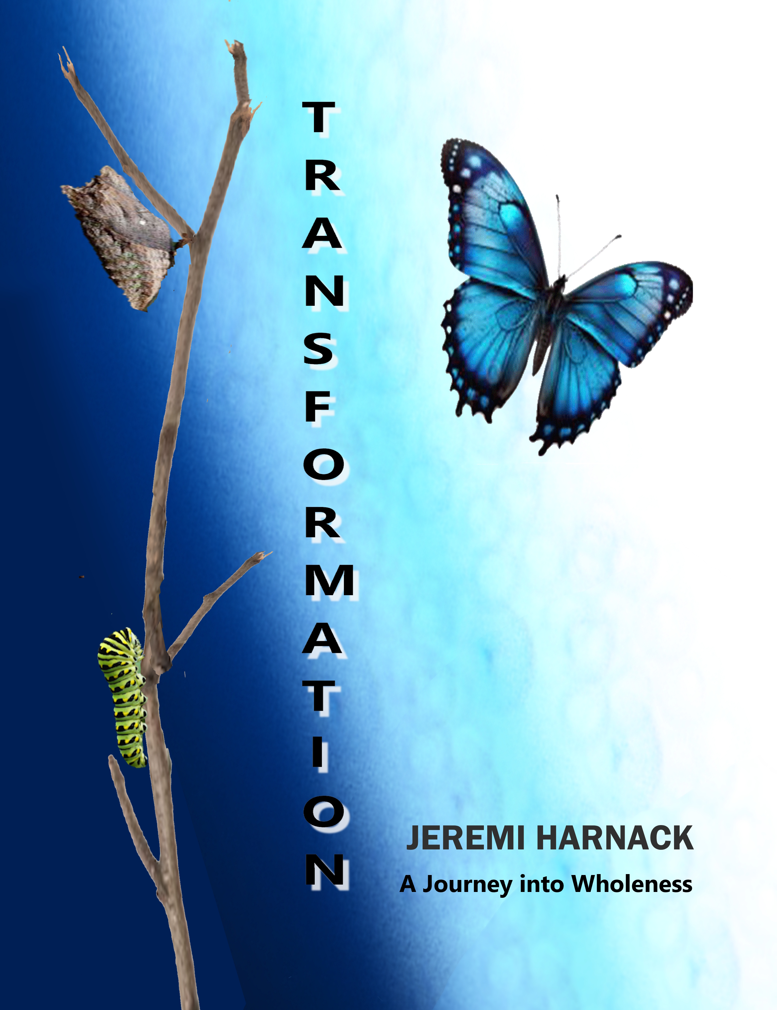 BOOK COVER DESIGN – The Write-Design